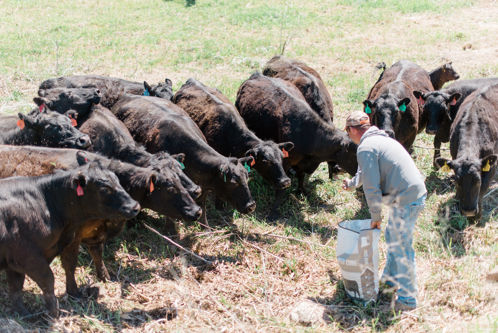 Mineral Salt Block with Garlic (Fly Control) - 50lb. Block – Horter's ...