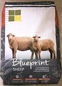 Blueprint® 18% Sheep & Goat Starter - 50lb. Bag – Horter's Farm and ...